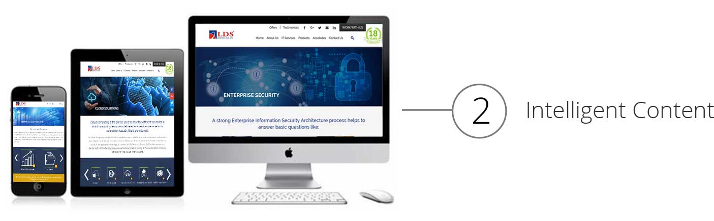 LDS infotech Case Study. - Website Designing Development Company Bangalore